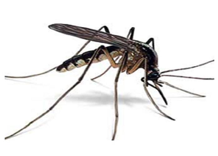 Tantari cu puteri supranaturale - Bancuri , glume - Forum Auto Romania